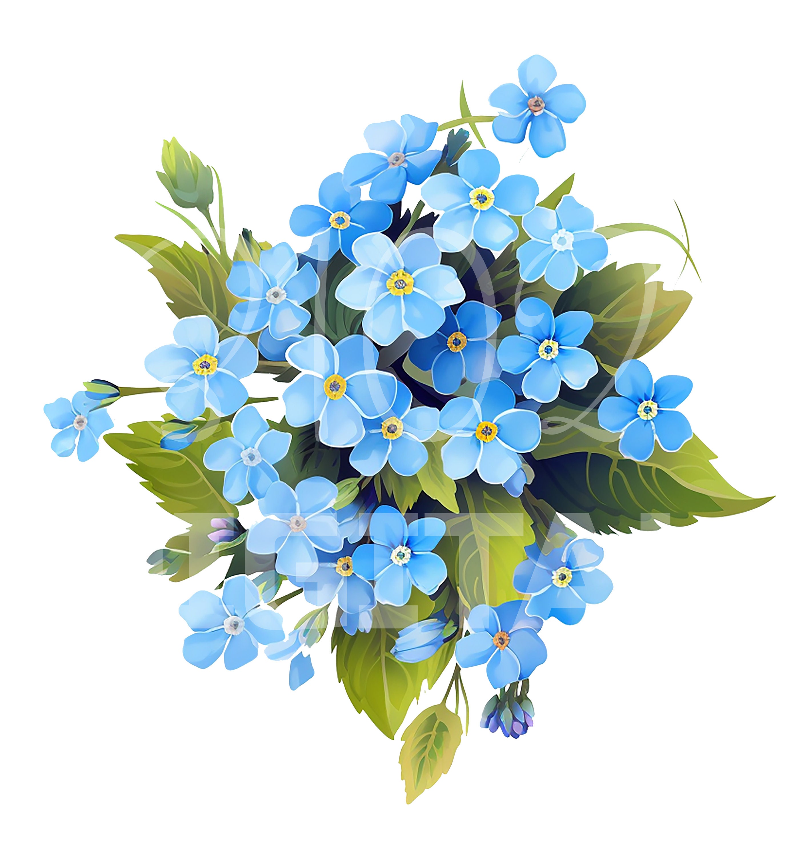 Forget-me-not Bundle of 6 PNG Floral Clipart of Blue Flower Bouquet ...