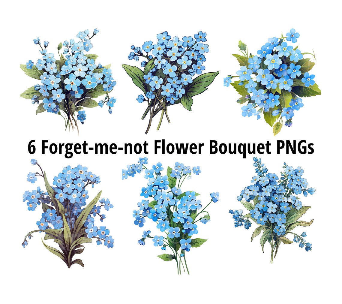 Forget-me-not Bundle of 6 PNG Floral Clipart of Blue Flower Bouquet ...