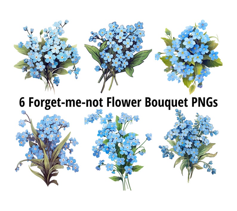 Whimsical Forget-me-not Flower Clipart Bundle - 6 Blue Floral Pngs for ...