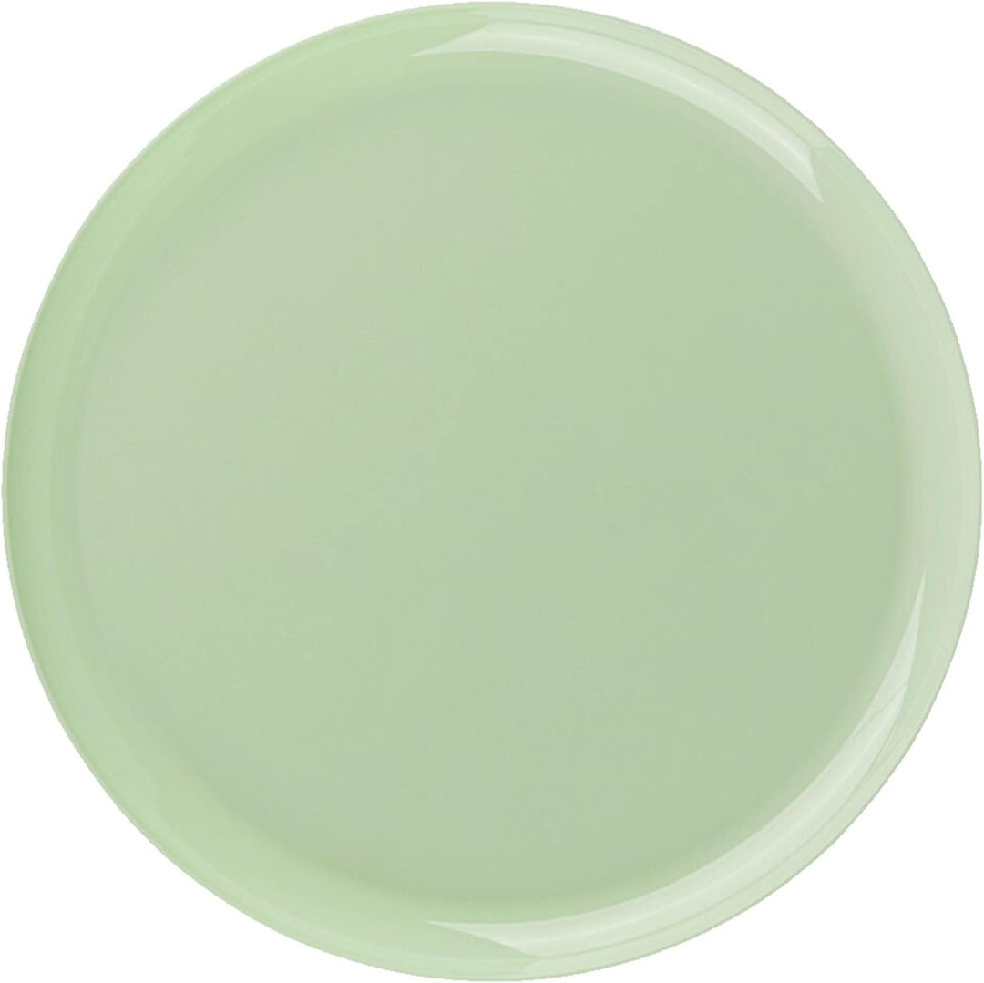 Ecoquality 10.6 Inch Round Green Disposable Plastic Plates Heavy Duty ...