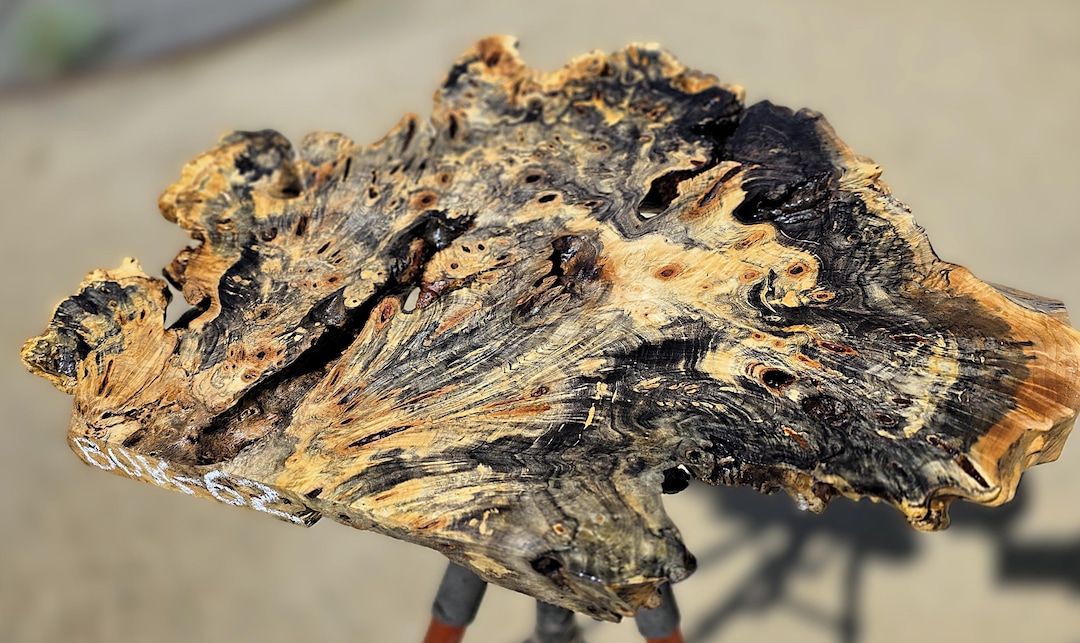Buckeye Burl Spalted Live Edge (BUK-62) - Etsy
