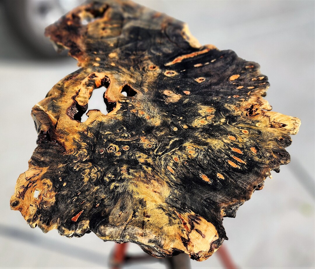 Blue Spalted Buckeye Burl Live Edge BUK-08 Free Shipping - Etsy