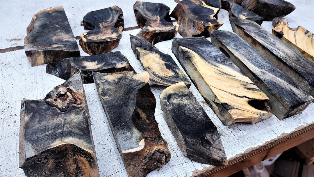 Buckeye Burl LOT BUK-52 - Etsy