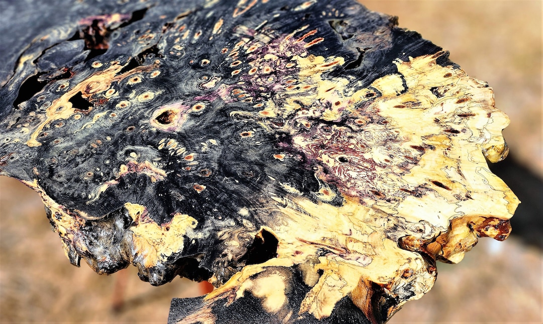 BIG Buckeye Burl Spalted Live Edge BUK-55 - Etsy