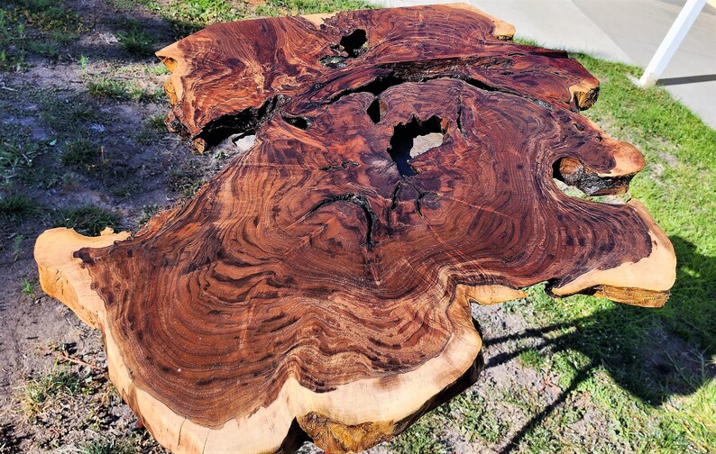 Black Walnut BURL Live Edge BWB-07 - Etsy