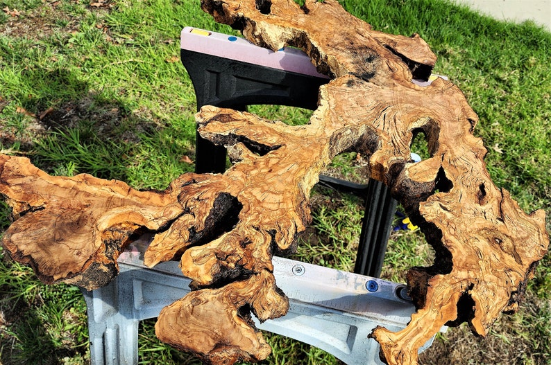 LIVE EDGE Olive Wood Burl OL-27 - Etsy