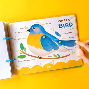 Preschool Busy Book Spring Color Matching Quiet Book Printable ...