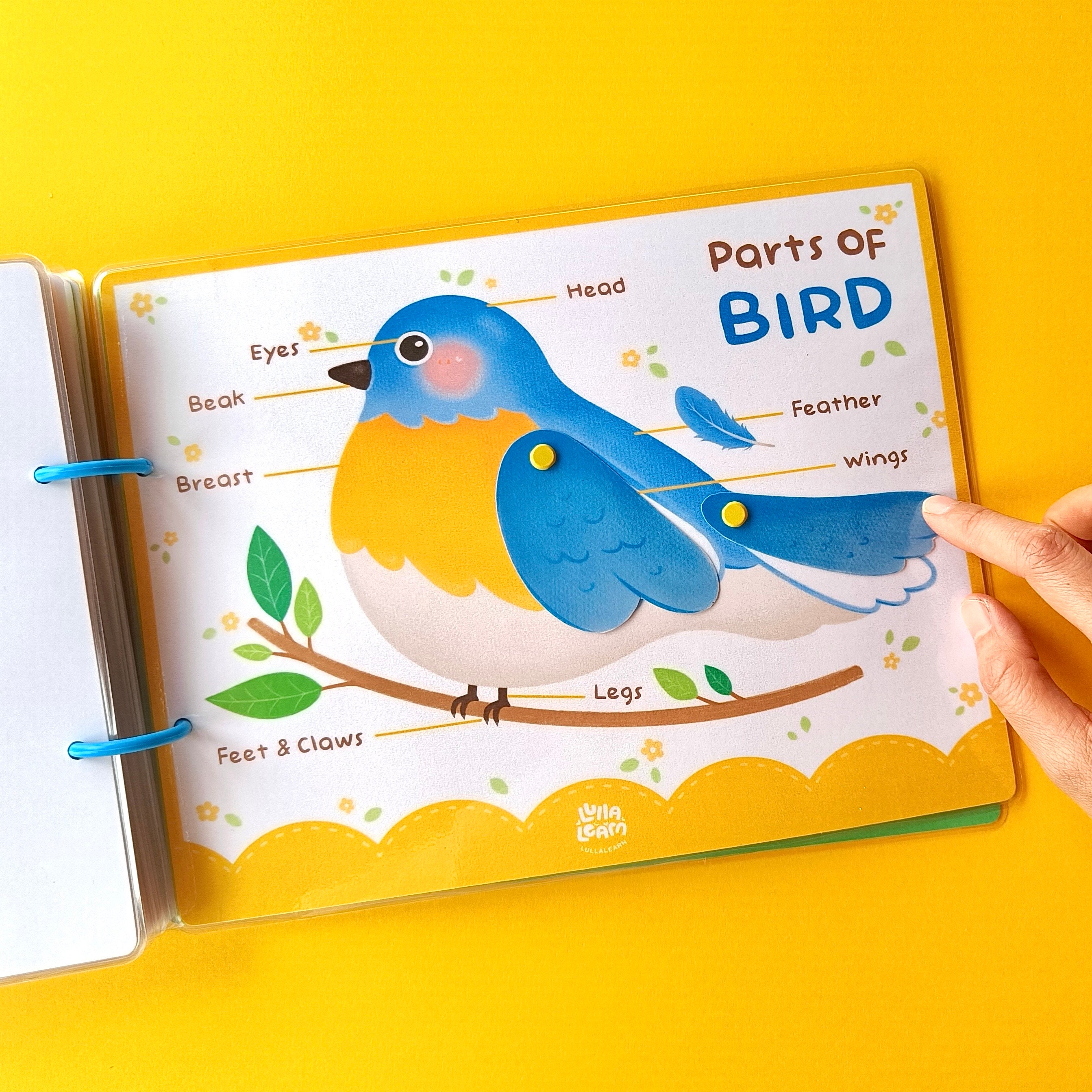 Preschool Busy Book Spring Color Matching Quiet Book Printable ...