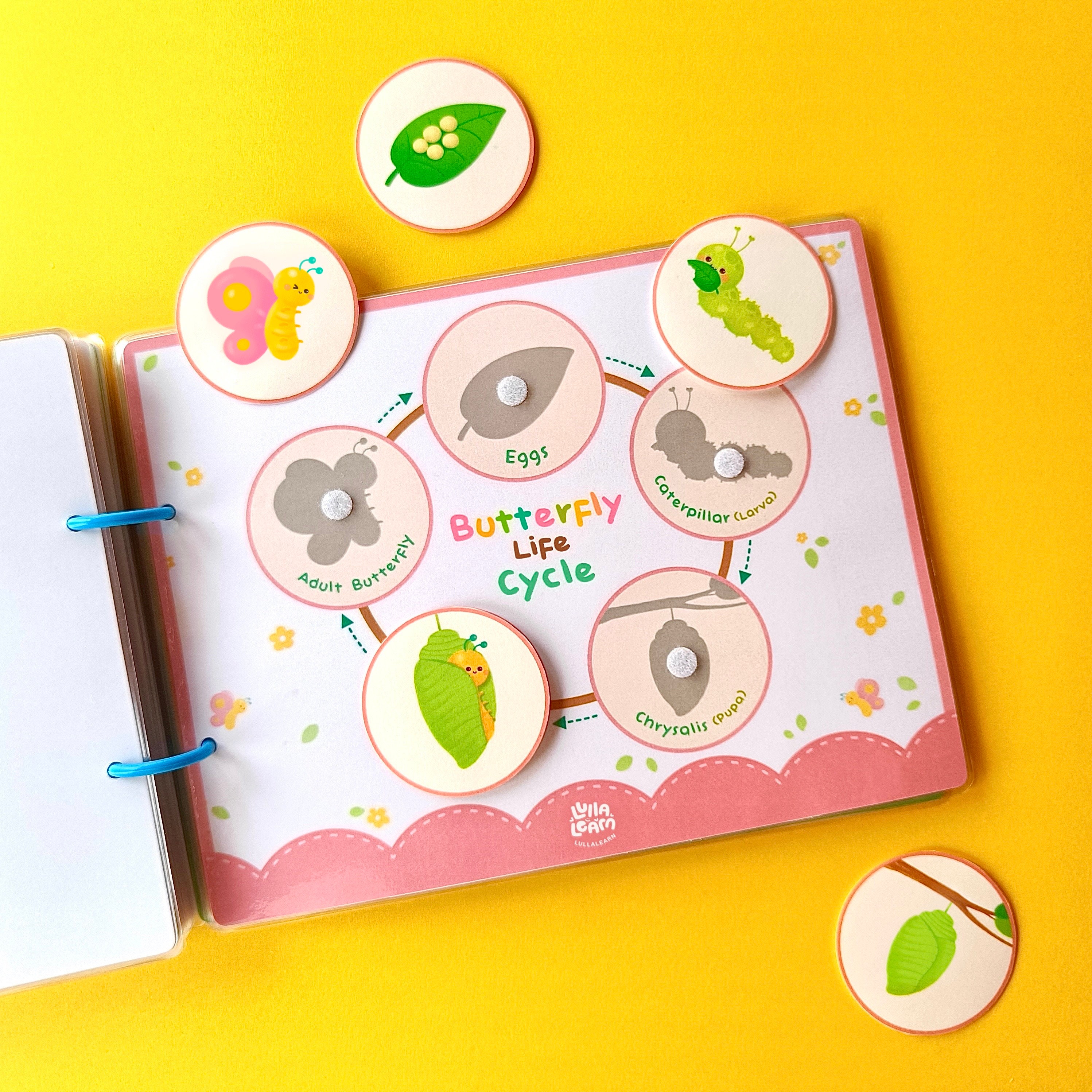 Preschool Busy Book Spring Color Matching Quiet Book Printable ...