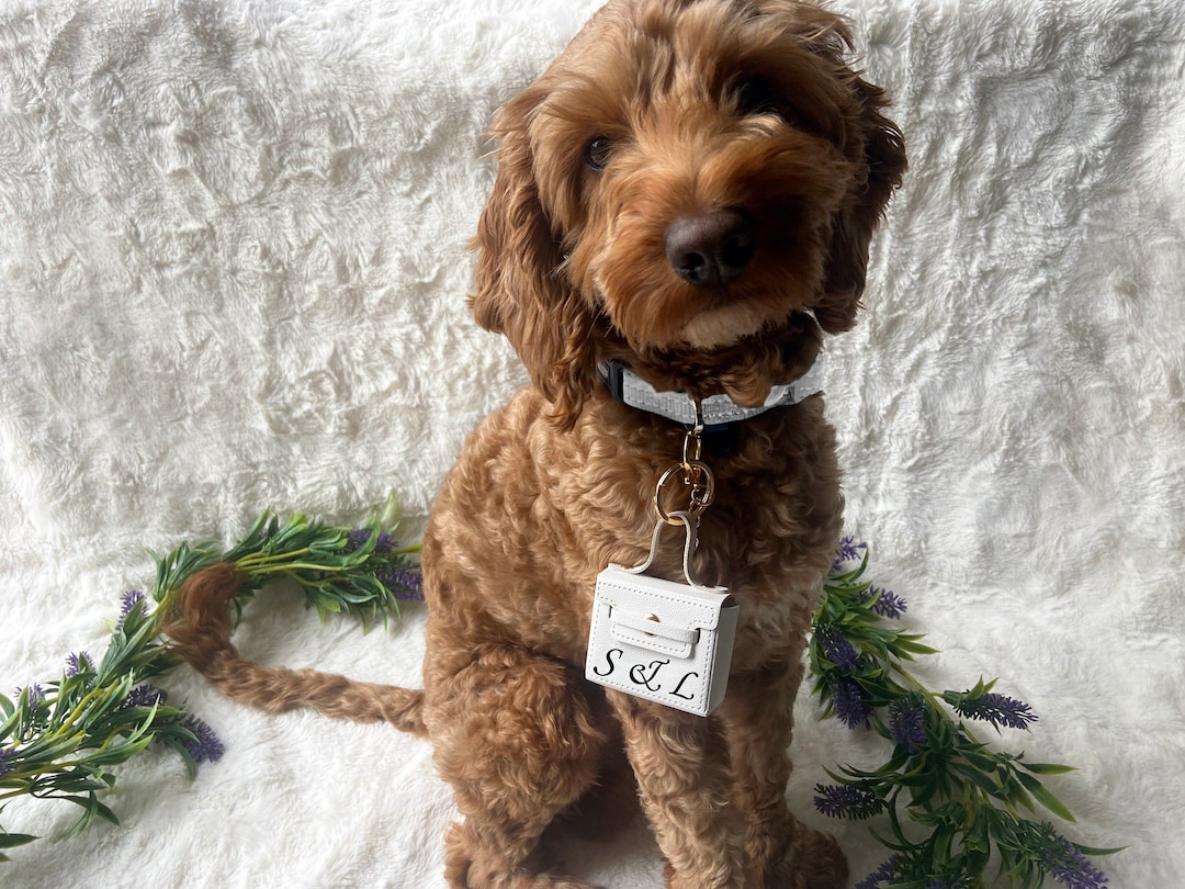 Personalised Wedding Ring Bearer Pouch for Dogs/ Wedding Ring Box for ...