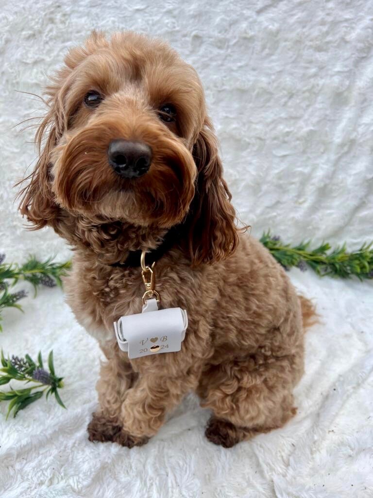 Personalised Wedding Ring Bearer Pouch for Dog/ Wedding Ring Box for ...