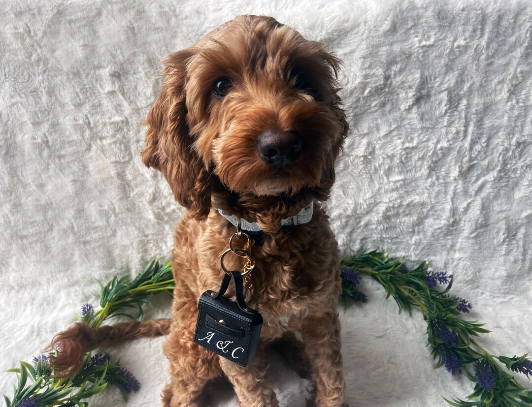 Personalised Wedding Ring Bearer Pouch for Dogs/ Wedding Ring Box for ...