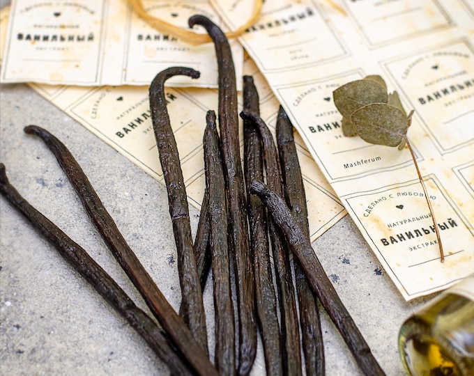 Set of 10 Pcs Realistic Vanilla Beans Polymer Clay Food Photography ...