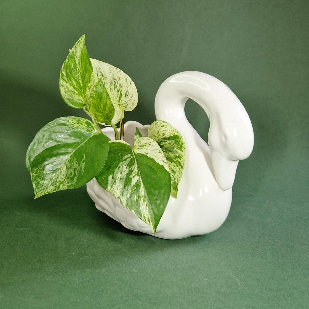 Vintage Ceramic Swan Shape Flower Pot Retro Decorative Planter White ...