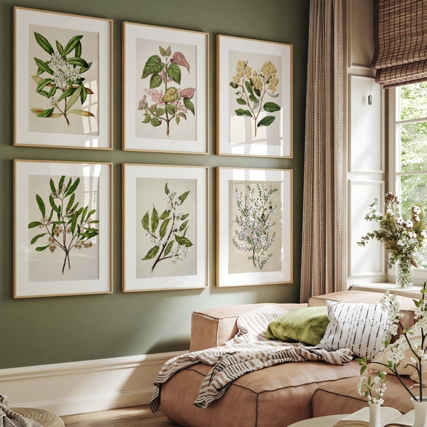 Botanical Poster - Etsy