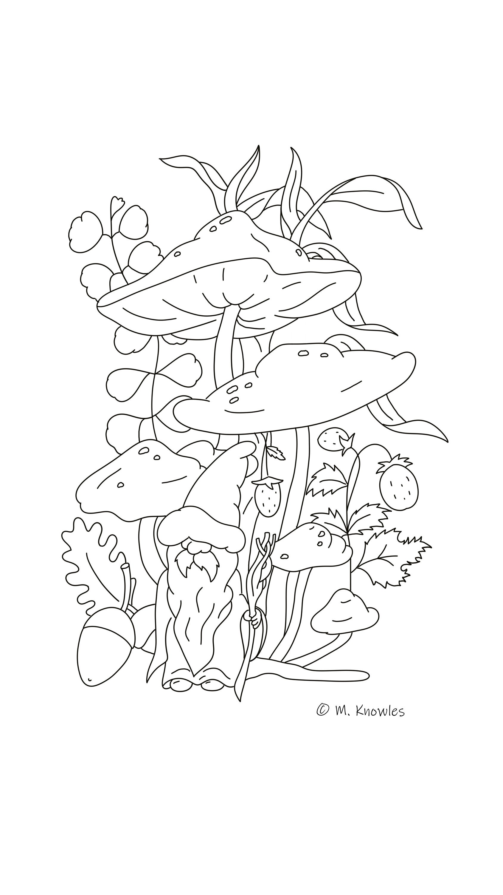 Colouring Pages for Kids - the Magical World of Gnomes - Etsy