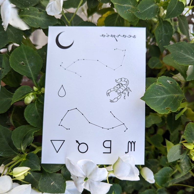 Scorpio Zodiac Sign Temporary Tattoo (set of 2) - Etsy