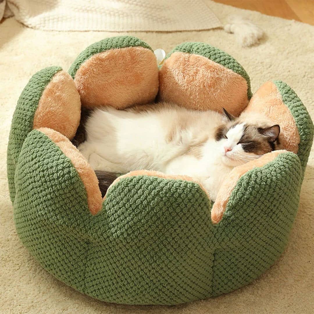 Niedliches Katzenbett mit Kissen großes Katzenbett - Etsy.de