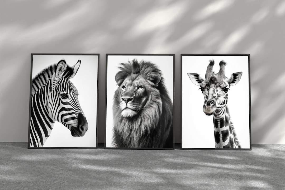 Black and White Animal Prints: Zebra, Lion, Giraffe (digital Download ...