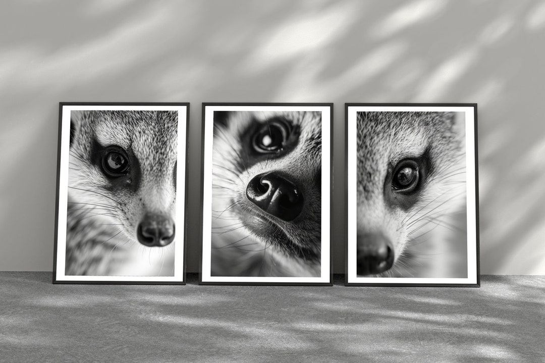 Black and White Meerkat Prints Animal Prints Minimalistic Art Digital ...