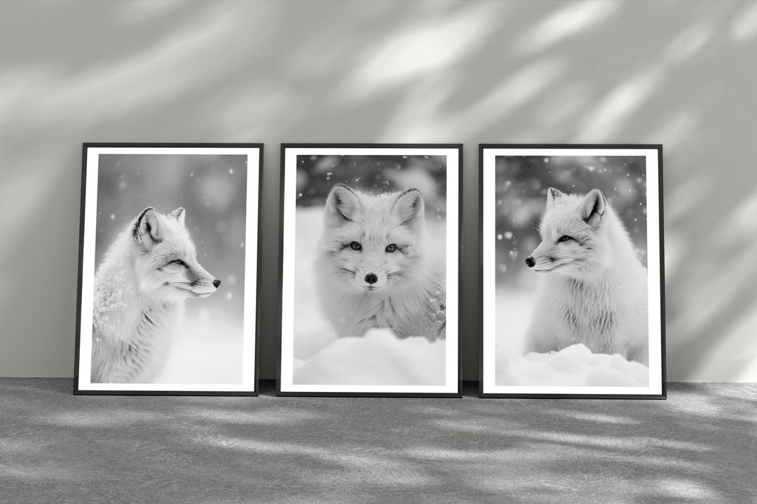 Arctic Fox Prints: Black and White Animal Wall Art (set of 3) (digital ...