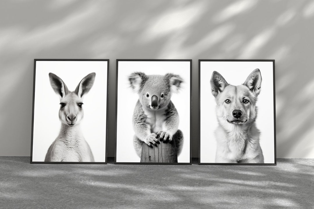 Australian Animal Prints: Dingo, Koala, Kangaroo Wall Art (digital ...