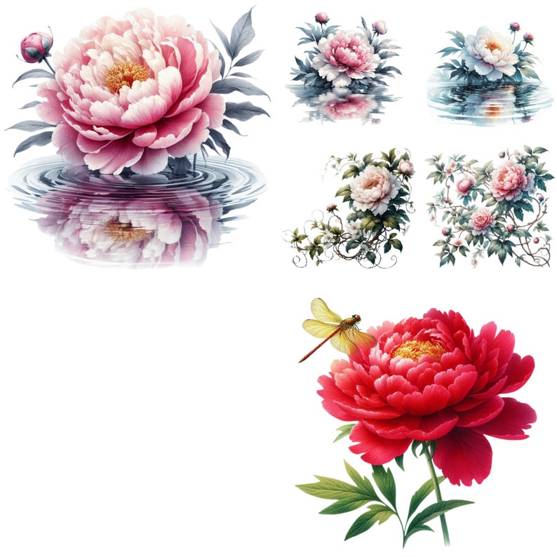 26-piece Watercolor Peony Floral Clipart Set | Colorful Flowers PNG ...