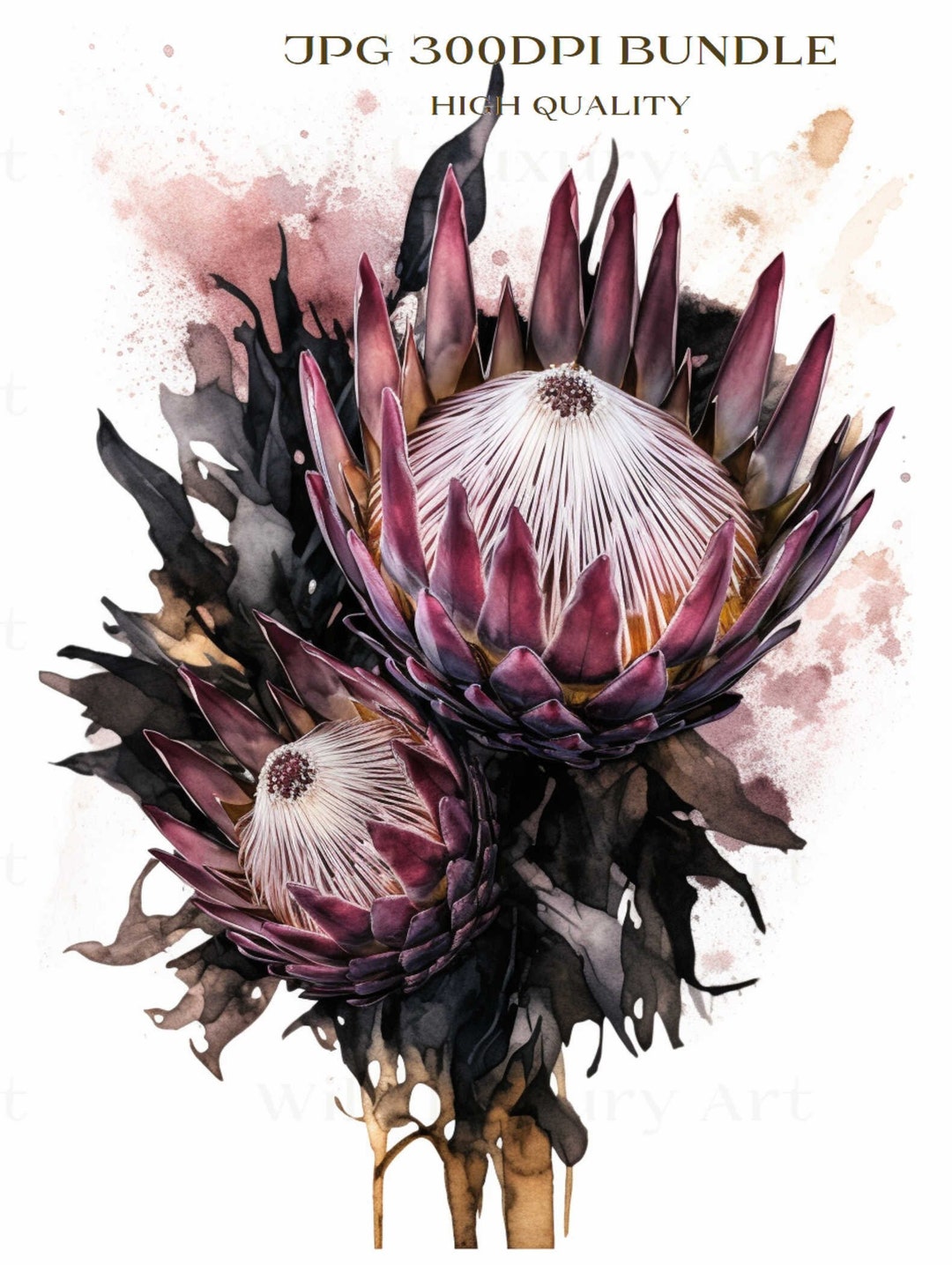 Dried Protea Flower Bundle of 8 Art Prints, Gothic Theme Digital Canvas ...