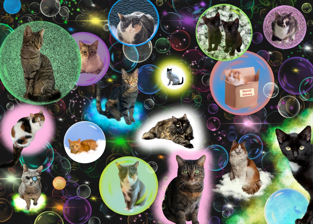 Bubble Cats 500 Piece Jigsaw Puzzle - Etsy