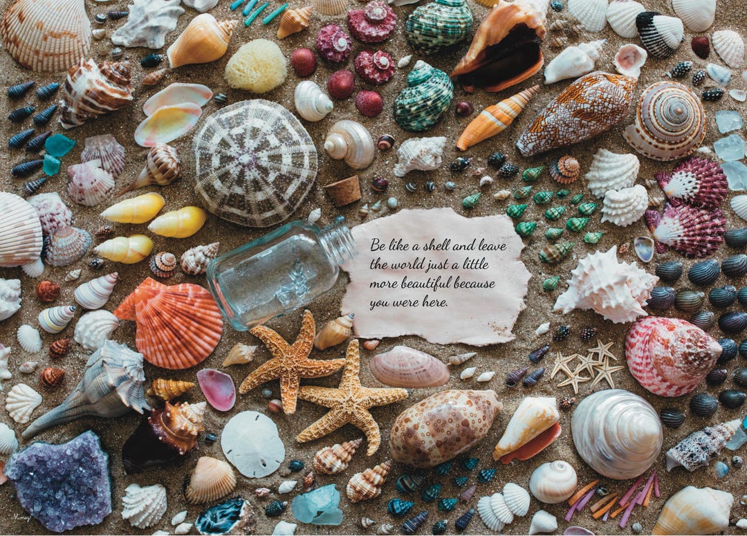 Seashell Souvenirs Jigsaw Puzzle: Mimsy Crowley Art, 500-piece - Etsy