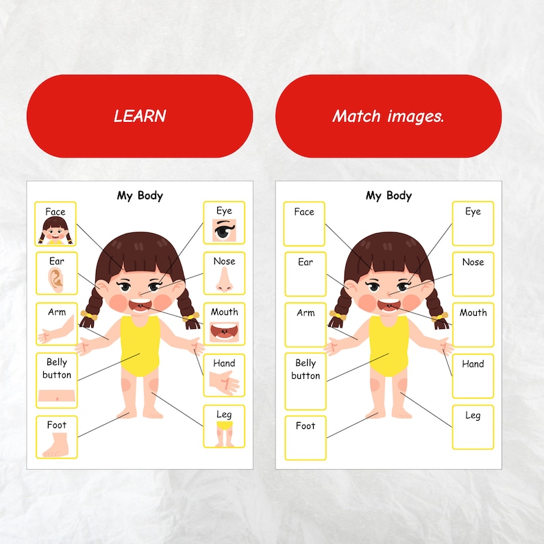 My Body Science Worksheets: Preschool Anatomy Activity (digital ...