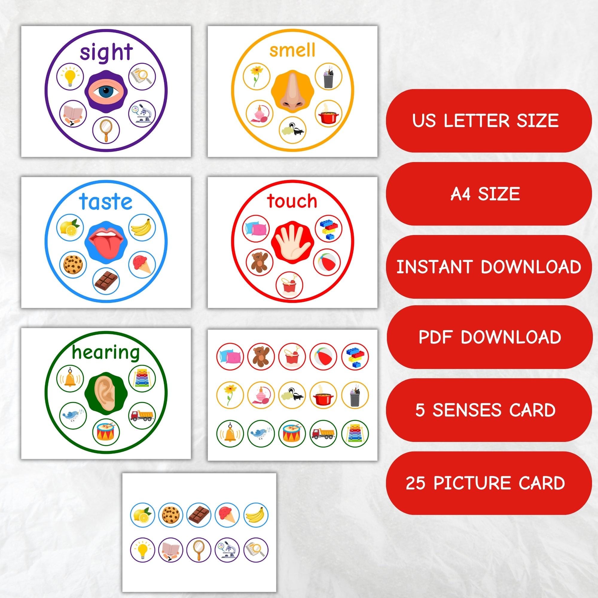 Five Senses Sorting Game: Educational Printable Activity (PDF Download ...