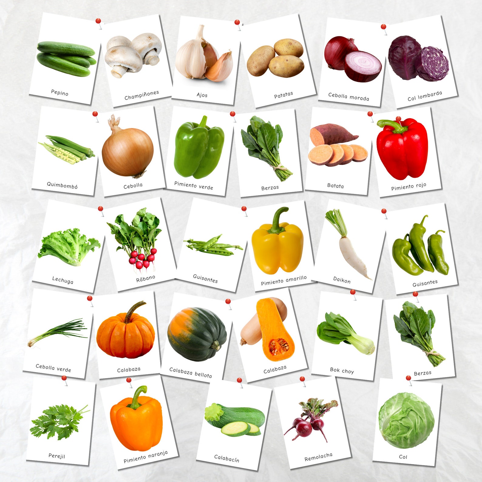 Spanish Vegetables Flashcards, Montessori Learning (PDF-PNG Printable ...