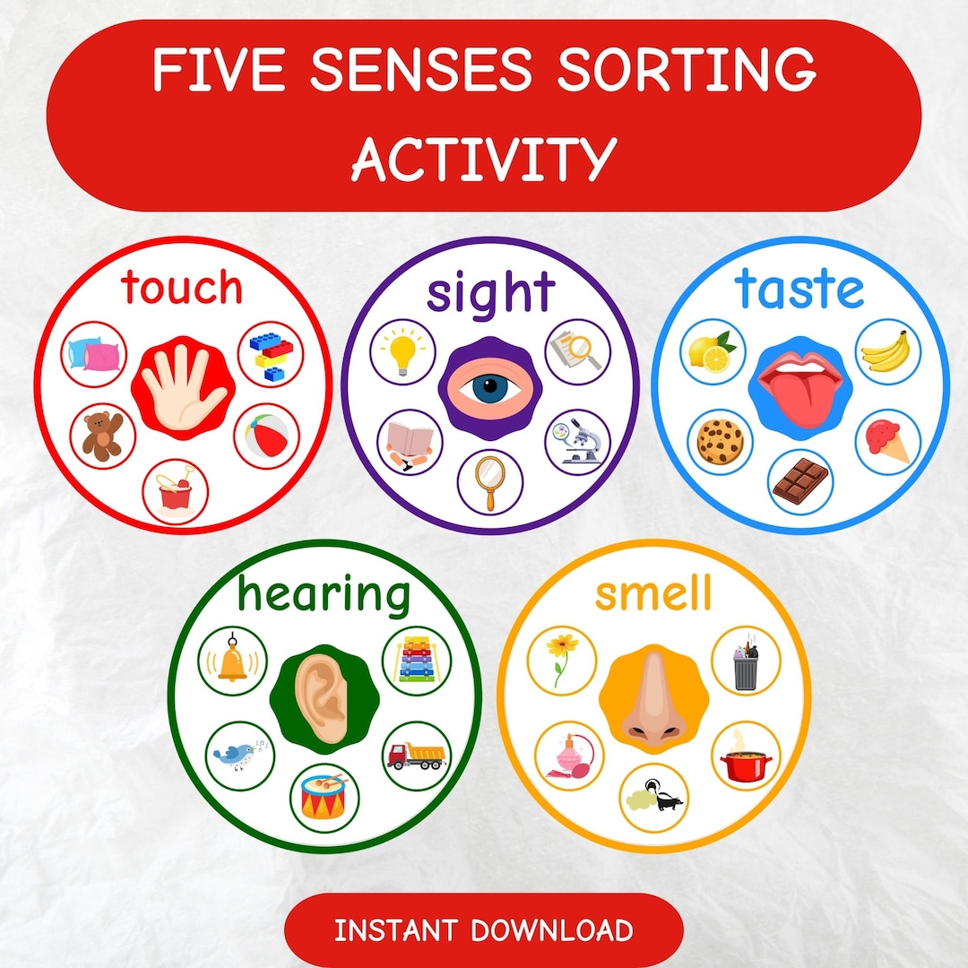 Five Senses Sorting Game: Educational Printable Activity (PDF Download ...