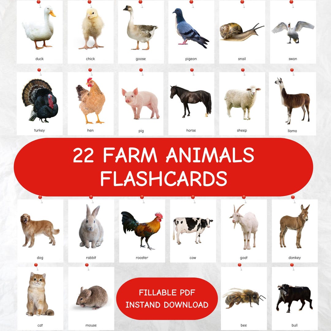 Farm Animals, Farm Animal Flashcards, 22 Montessori Animal Learning ...