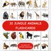 Jungle Animals Flashcards: Montessori 3-part Cards (fillable PDF) - Etsy