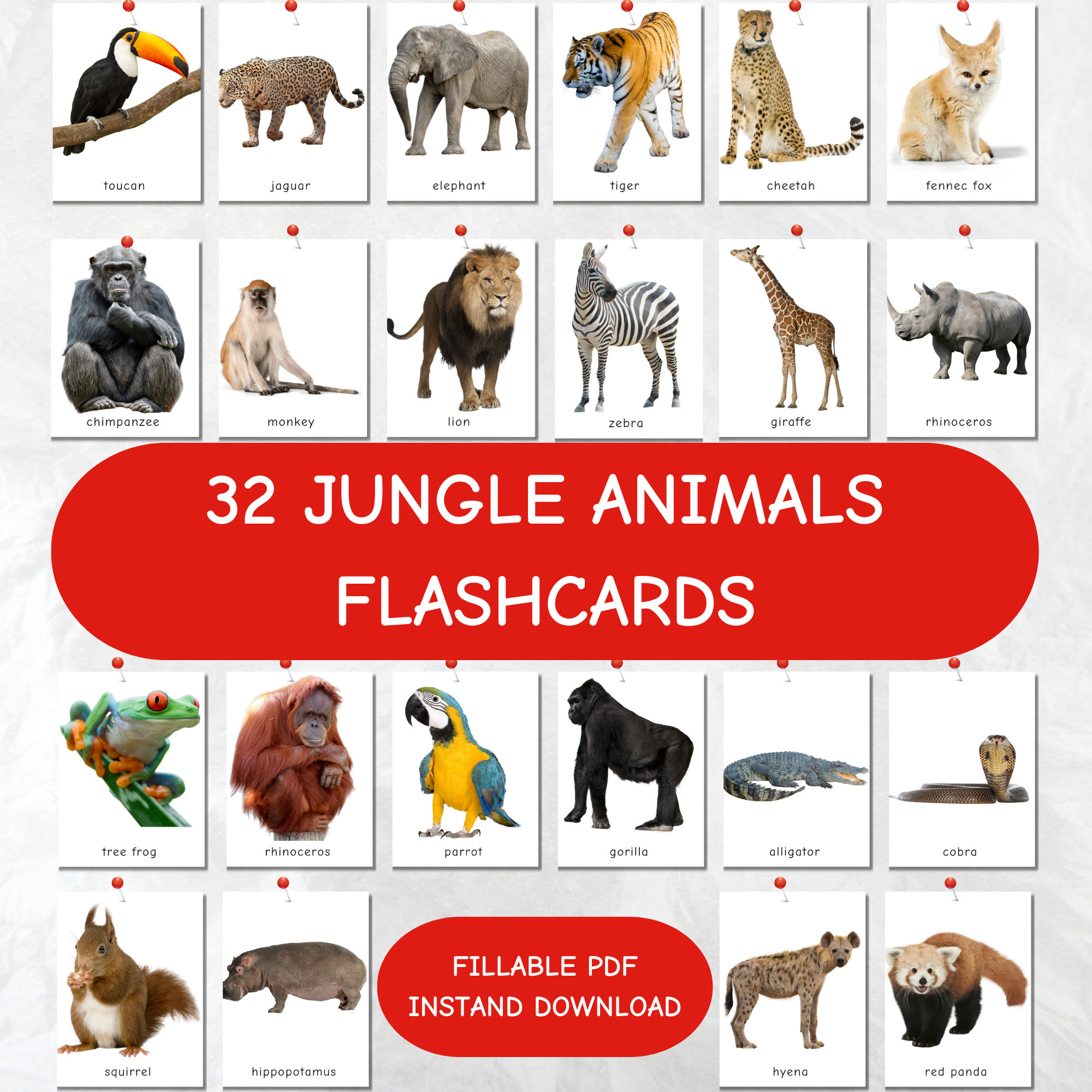 Jungle Animals Flashcards: Montessori 3-part Cards (fillable PDF) - Etsy
