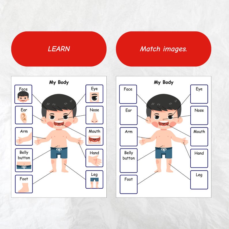 Human Body Worksheets for Kids, Kids Anatomy Learning Worksheets ...