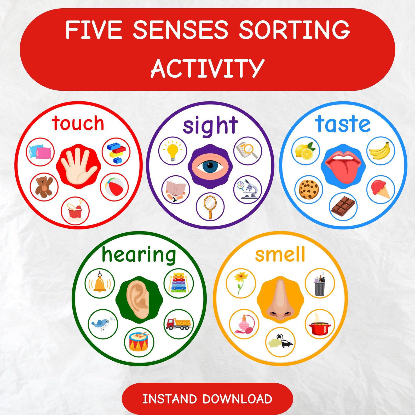 Five Senses Sorting Activity for Kids, Five Senses Activity, 5 Senses ...
