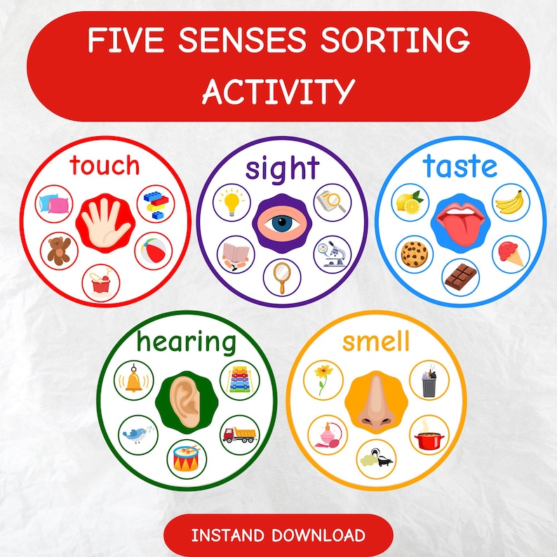 Five Senses Sorting Activity for Kids, Five Senses Activity, 5 Senses ...