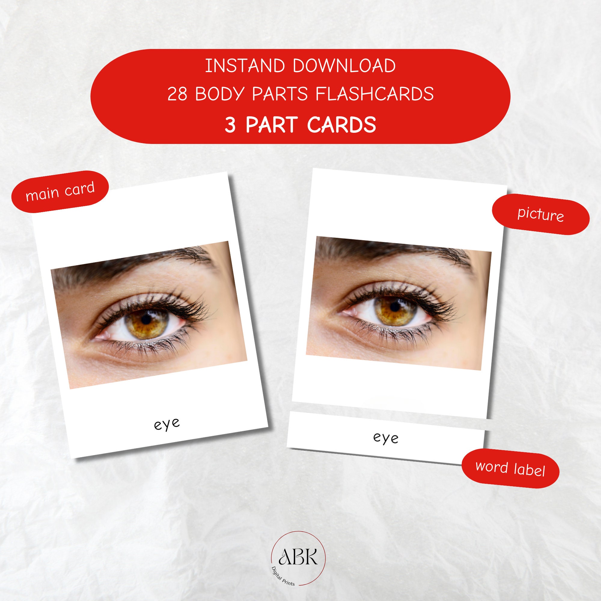 28 Body Parts Cards, Body Parts, Montessori Flashcards, Pre-school ...