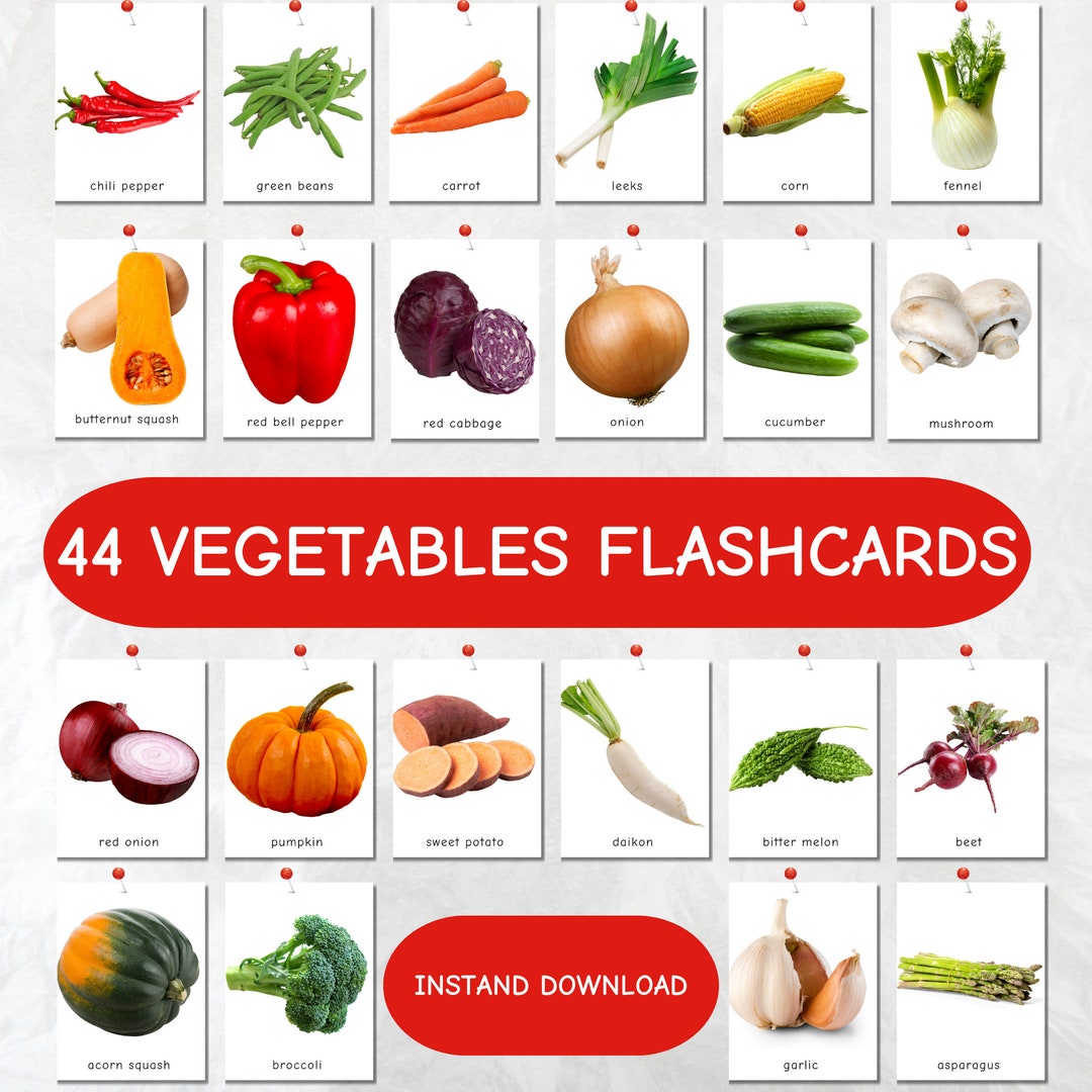44 VEGATABLES Flash Cards real Pictures, Vegetable Learning Cards ...
