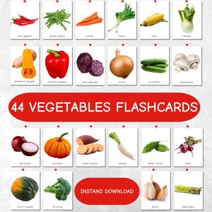 44 VEGATABLES Flash Cards (real Pictures), Vegetable Learning Cards ...