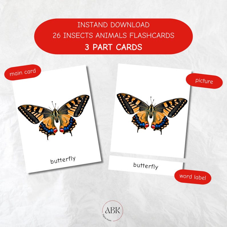 26 Insects Flashcards for Kids, 3-part Montessori Insect Learning Cards ...