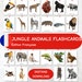 JUNGLE ANIMALS, Printable Jungle Animals,jungle Nursery Flash Cards for ...