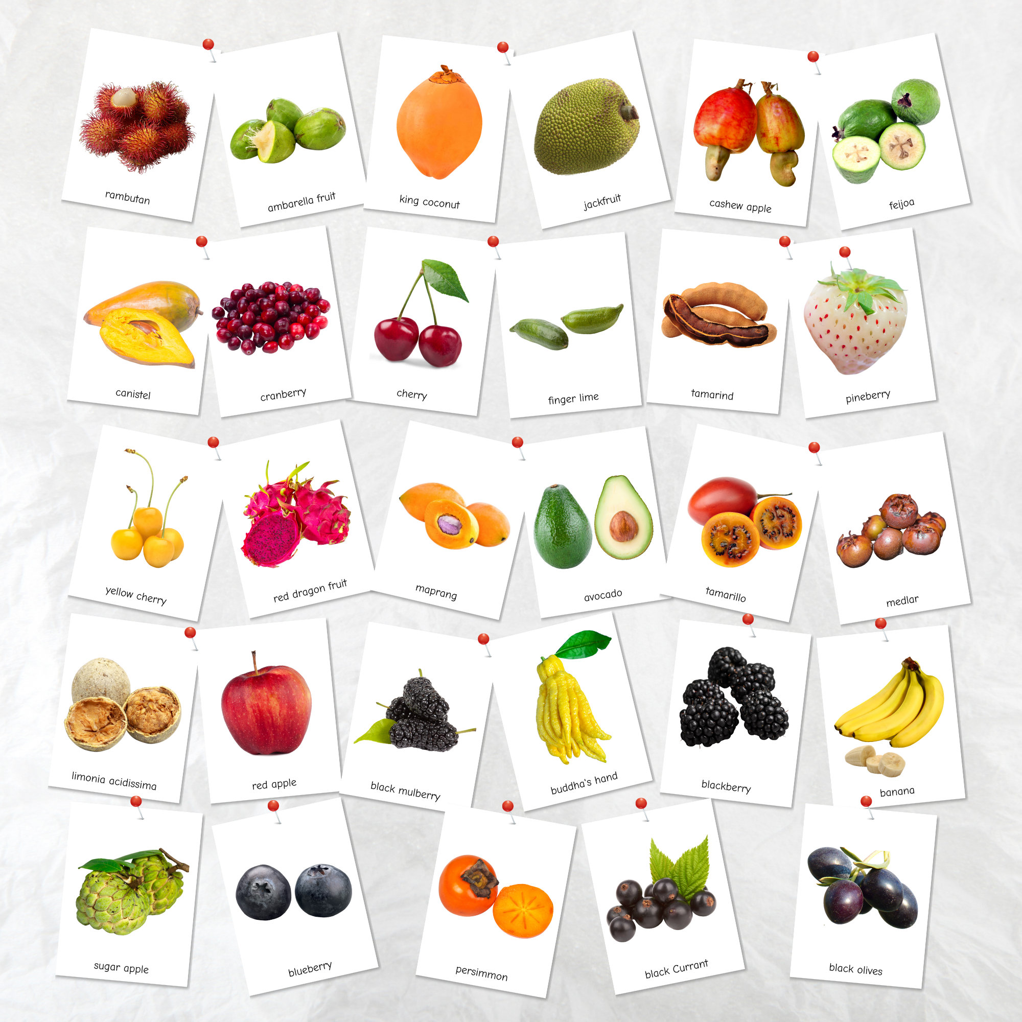 Fruits Flashcards: Montessori Learning Cards (digital Download) - Etsy