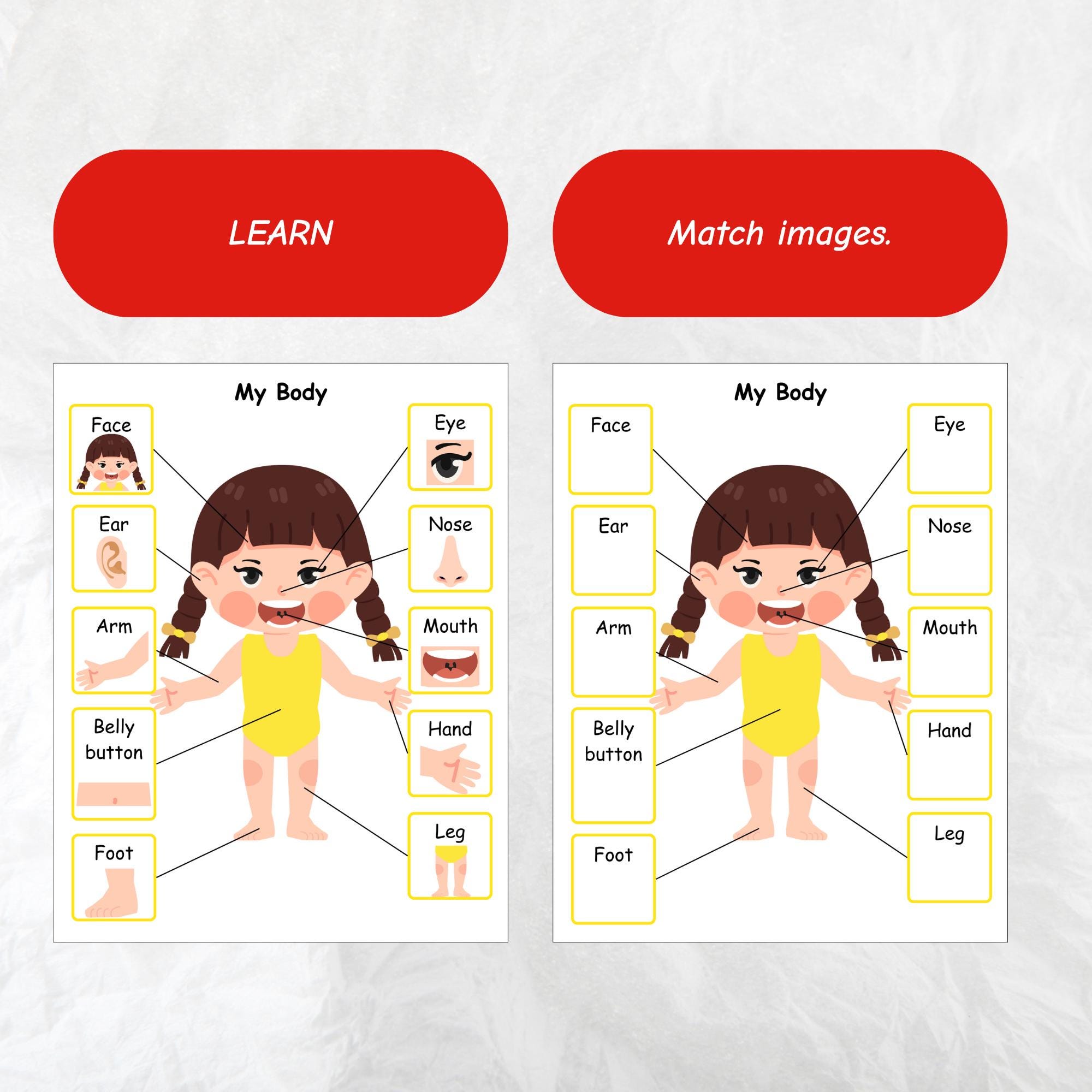 Human Body Worksheets for Kids, Kids Anatomy Learning Worksheets ...