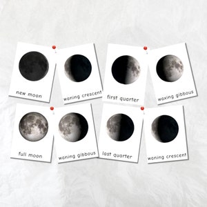 Moon Phases Flashcards,educational Flash Cards, Homeschool Montessori ...