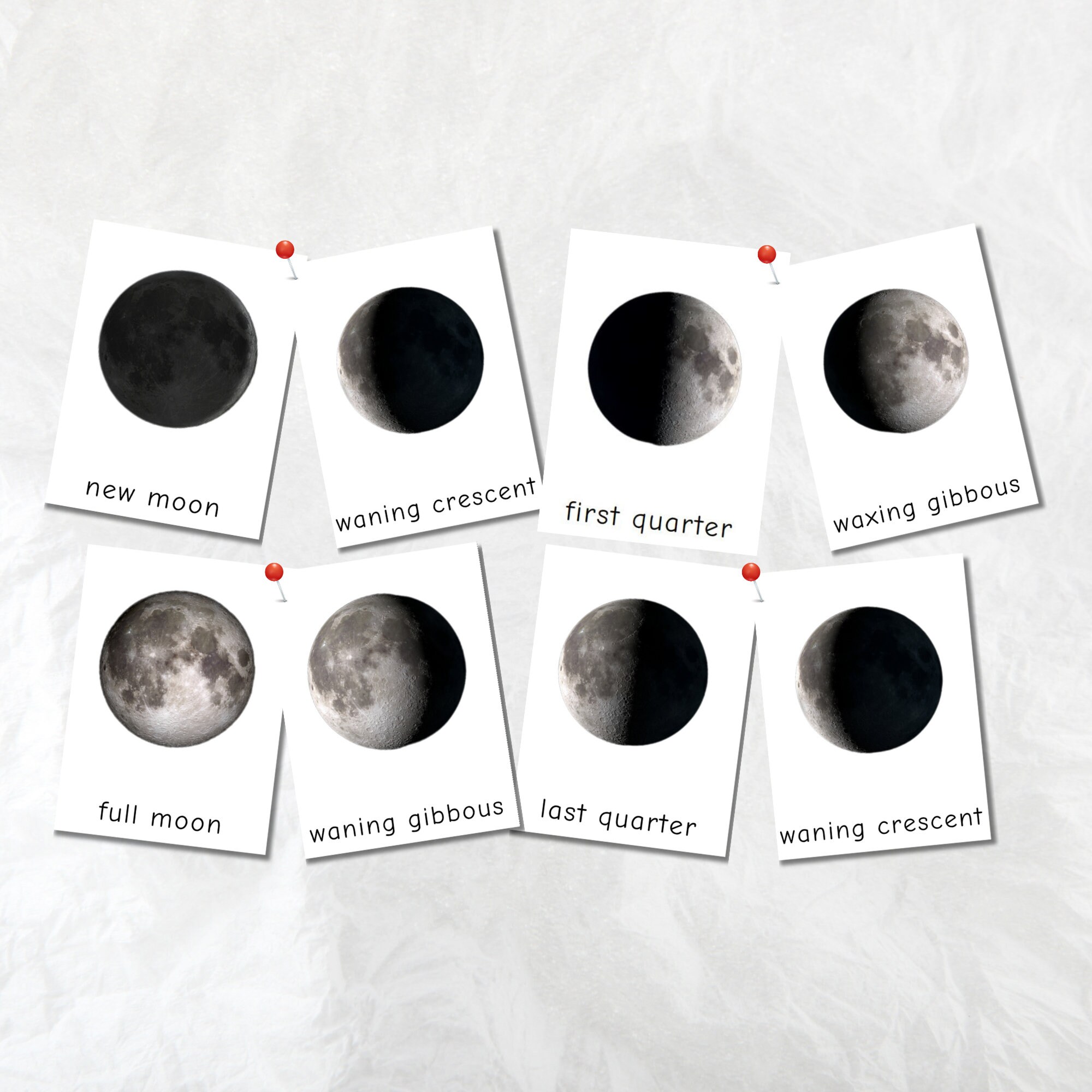 Moon Phases Flashcards,educational Flash Cards, Homeschool Montessori ...