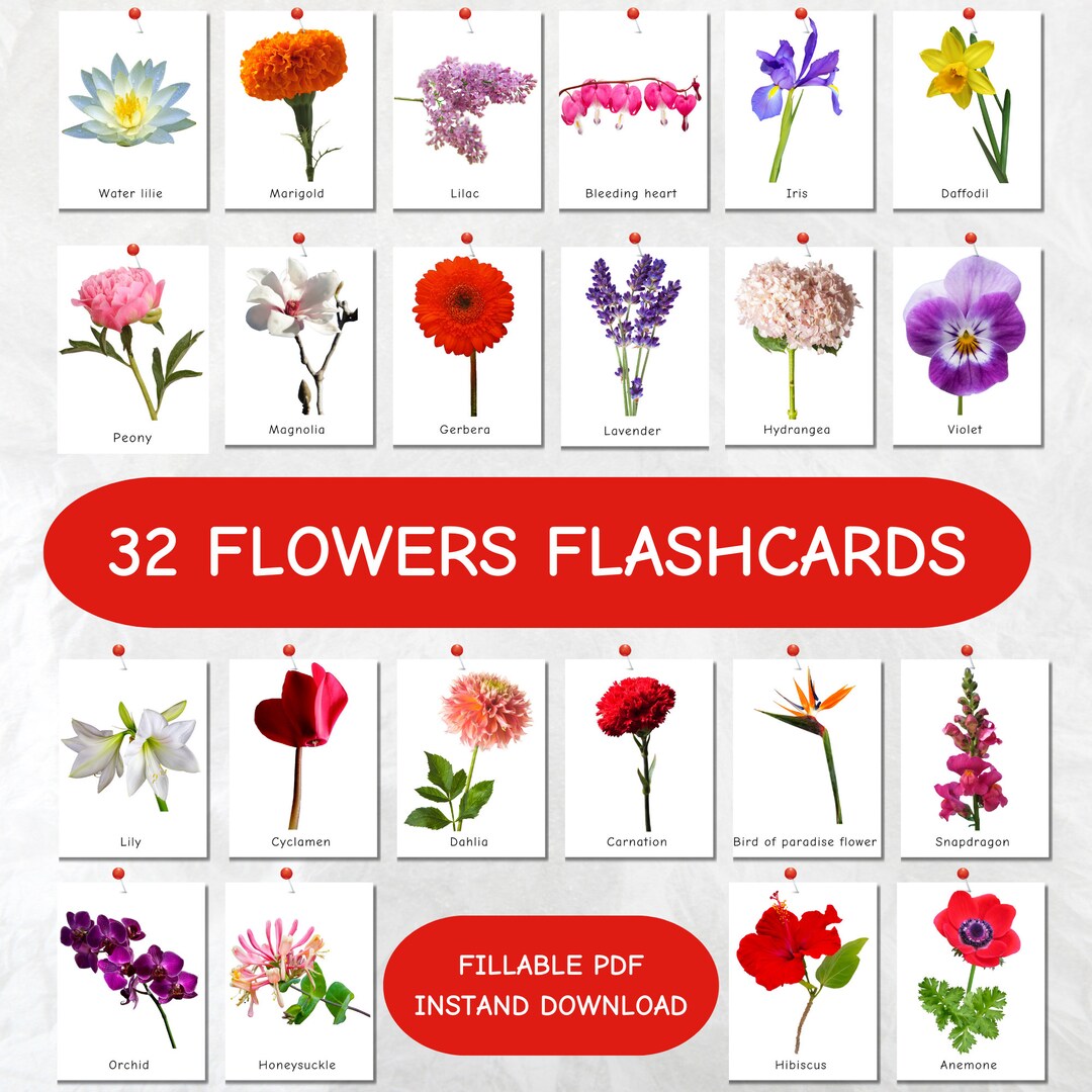 Flowers Flashcards,32 Fillable Montessori Cards, Montessori Cards ...